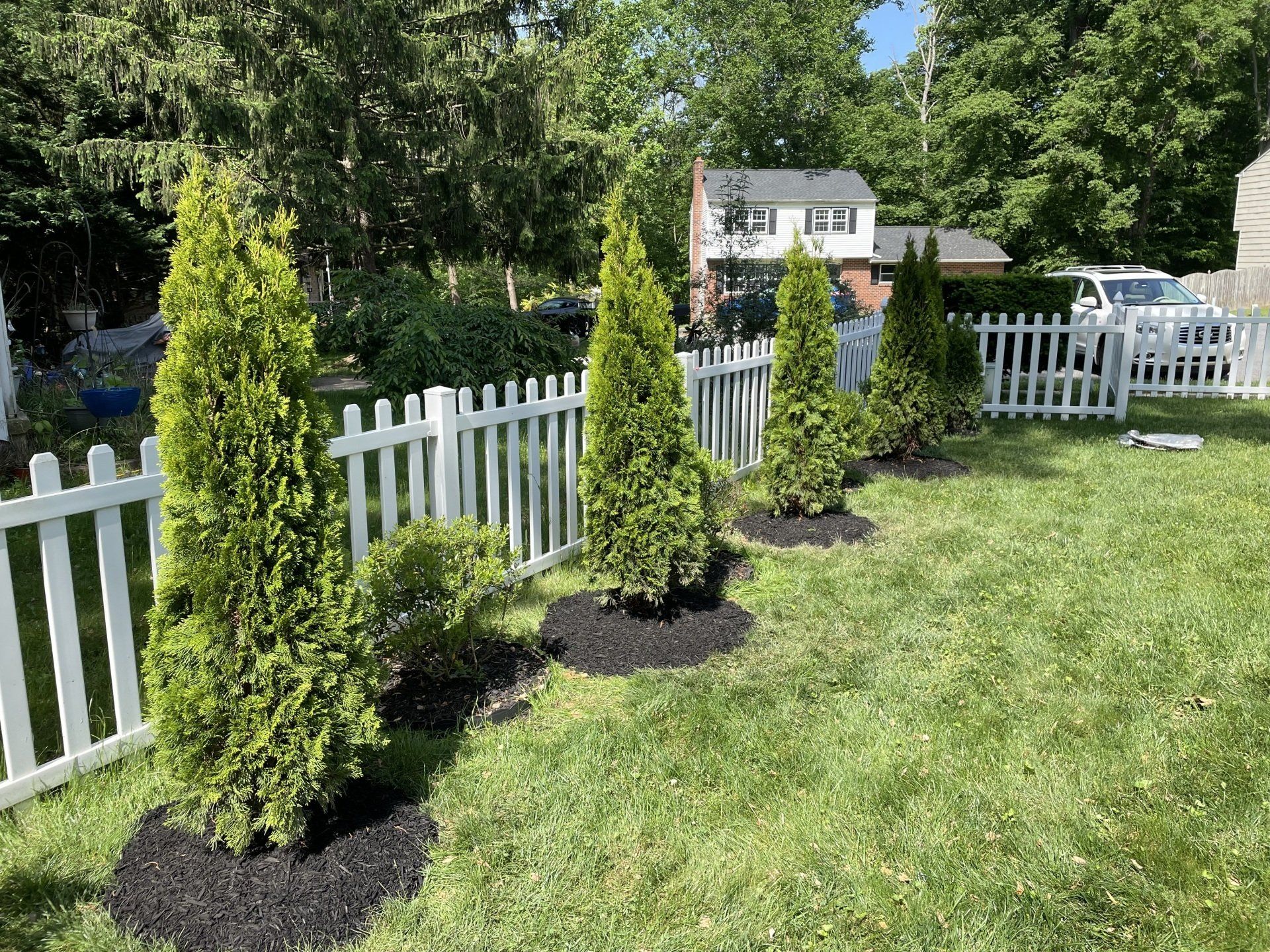 Sod Supplier Middletown, DE | MorningStar Sod & Supply, Inc.