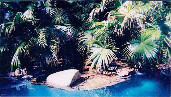 Pool Builders Slidell, LA | Greg's Pools & Spas