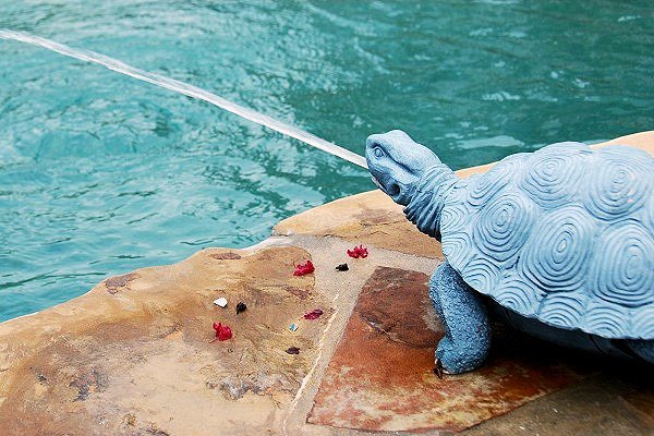 Pool Builders Slidell, LA | Greg's Pools & Spas