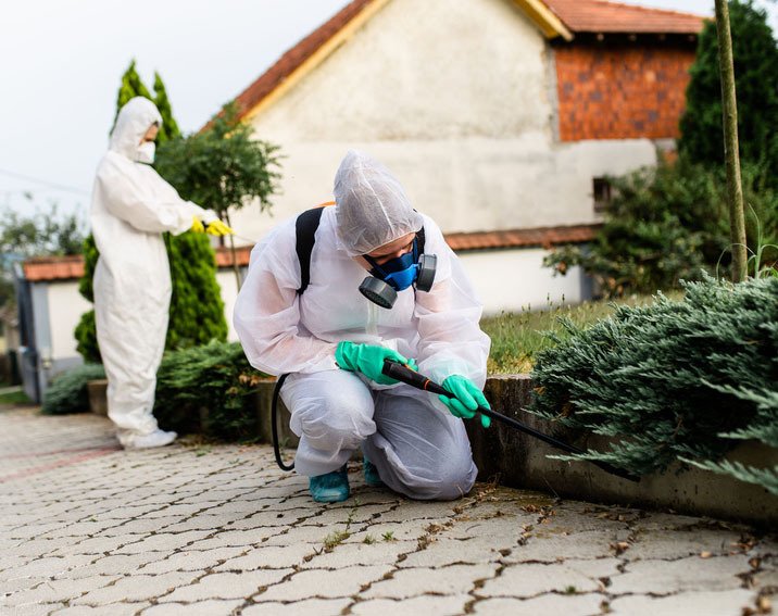 Extermination Services | CAD Pest Control | Reno, NV