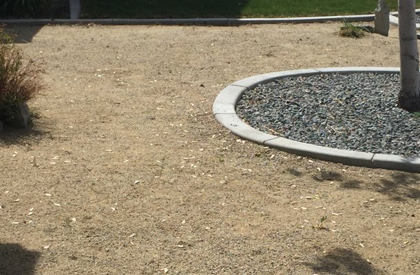 Weed Control Services | Reno, NV