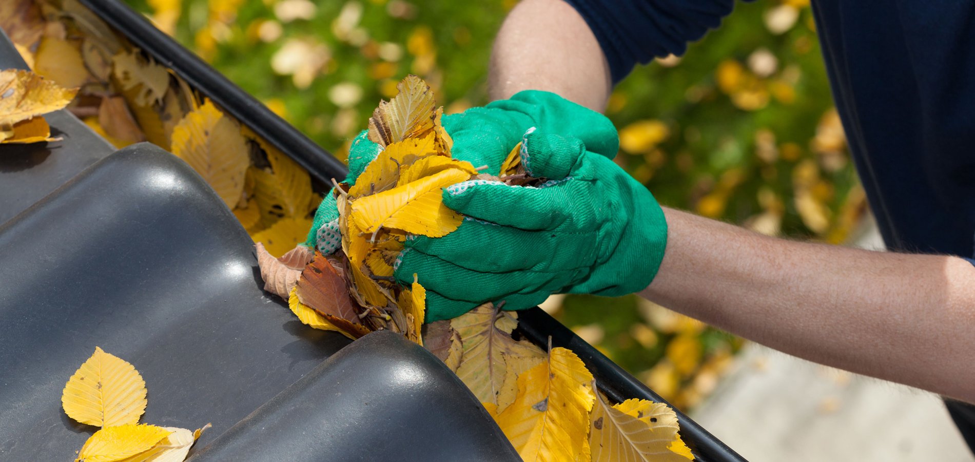 Window Butler | Cleaning Contractors | Cincinnati, OH