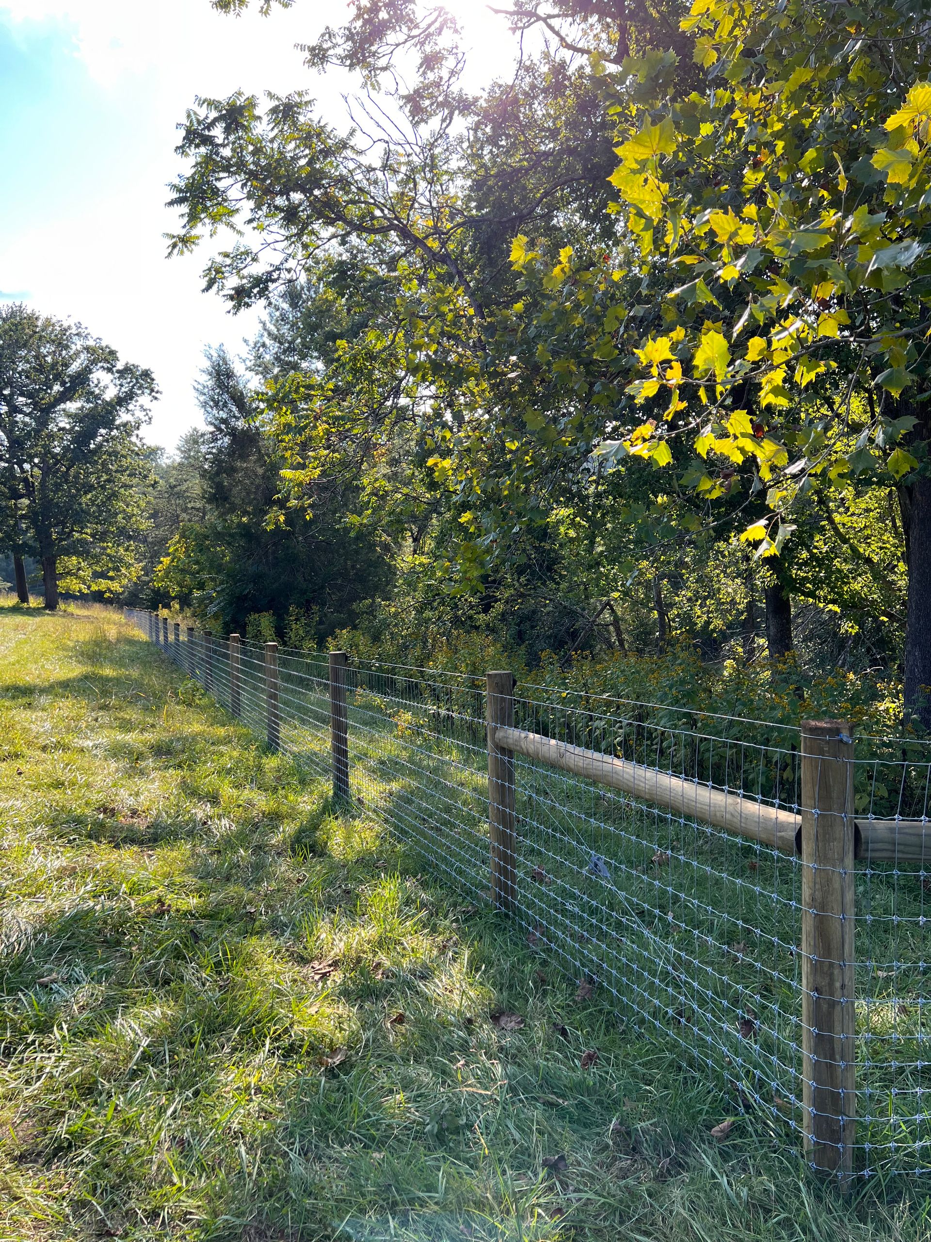 County Line Fence Galley | Lynchburg, VA Amherst, VA