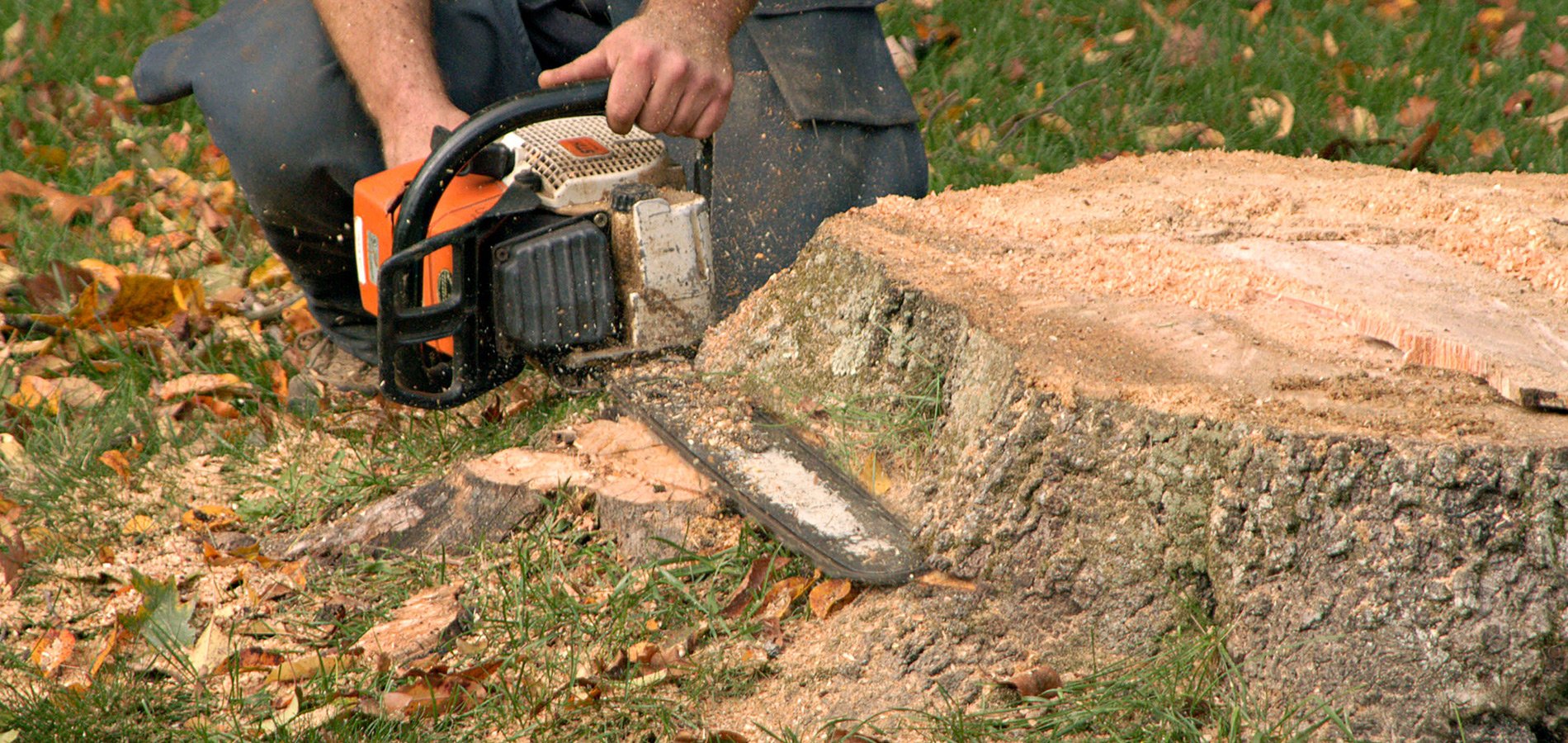 God's Way Tree Service | Arborist | Greensboro, NC