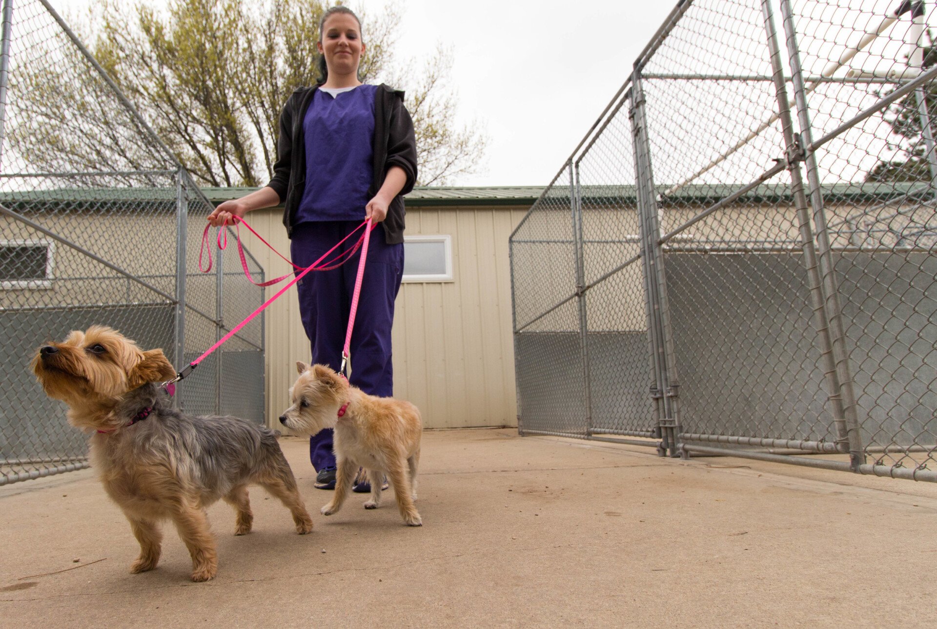 Photo Gallery | Winnebago Animal Clinic