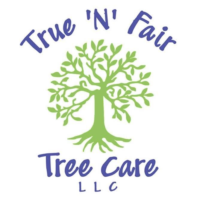 Tree Service Waconia | Norwood | True 'N' Fair Tree Care