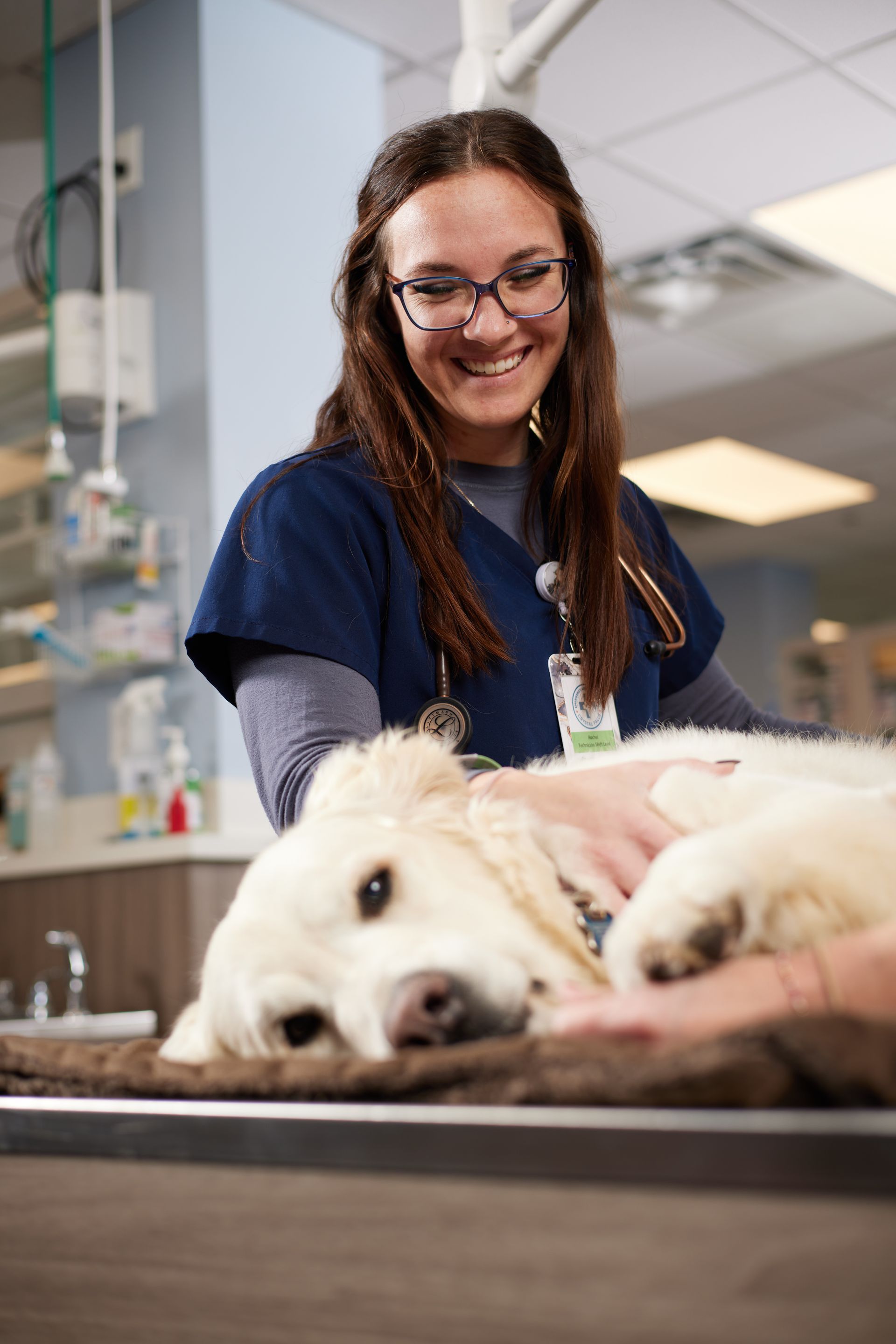 Animal Urgent Care Brushy Creek, TX | Liberty Hill, TX