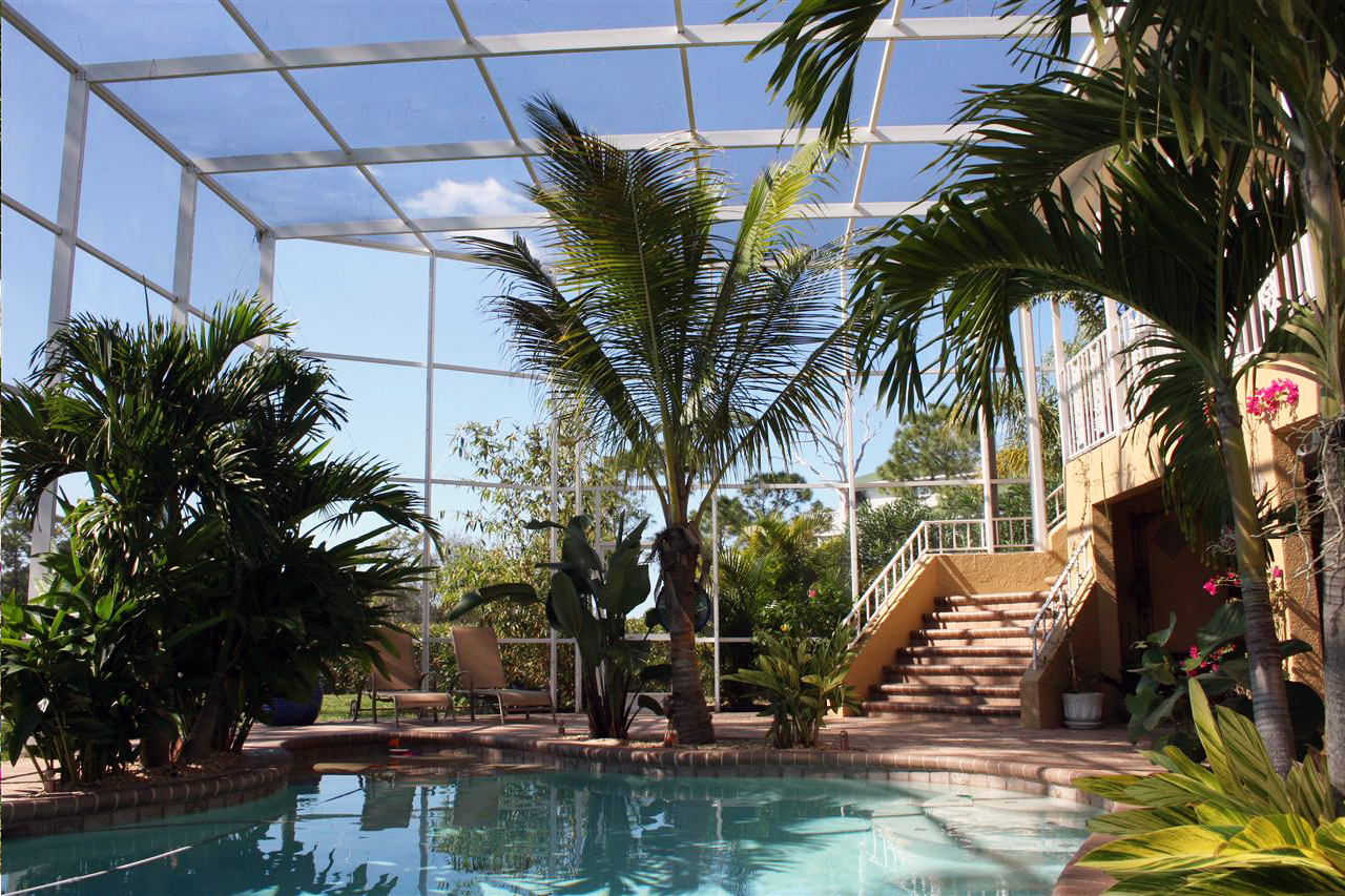 U.S. Pools Photo Gallery | Palm Harbor, FL
