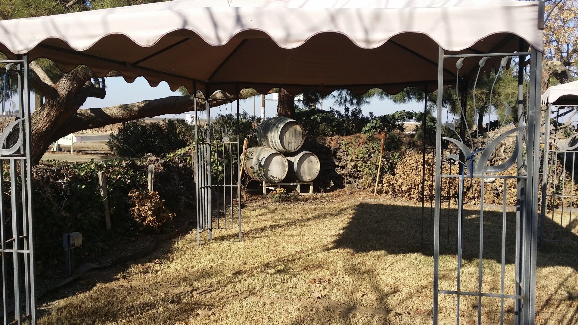 A. Nonini Winery Photo Gallery | Fresno, CA