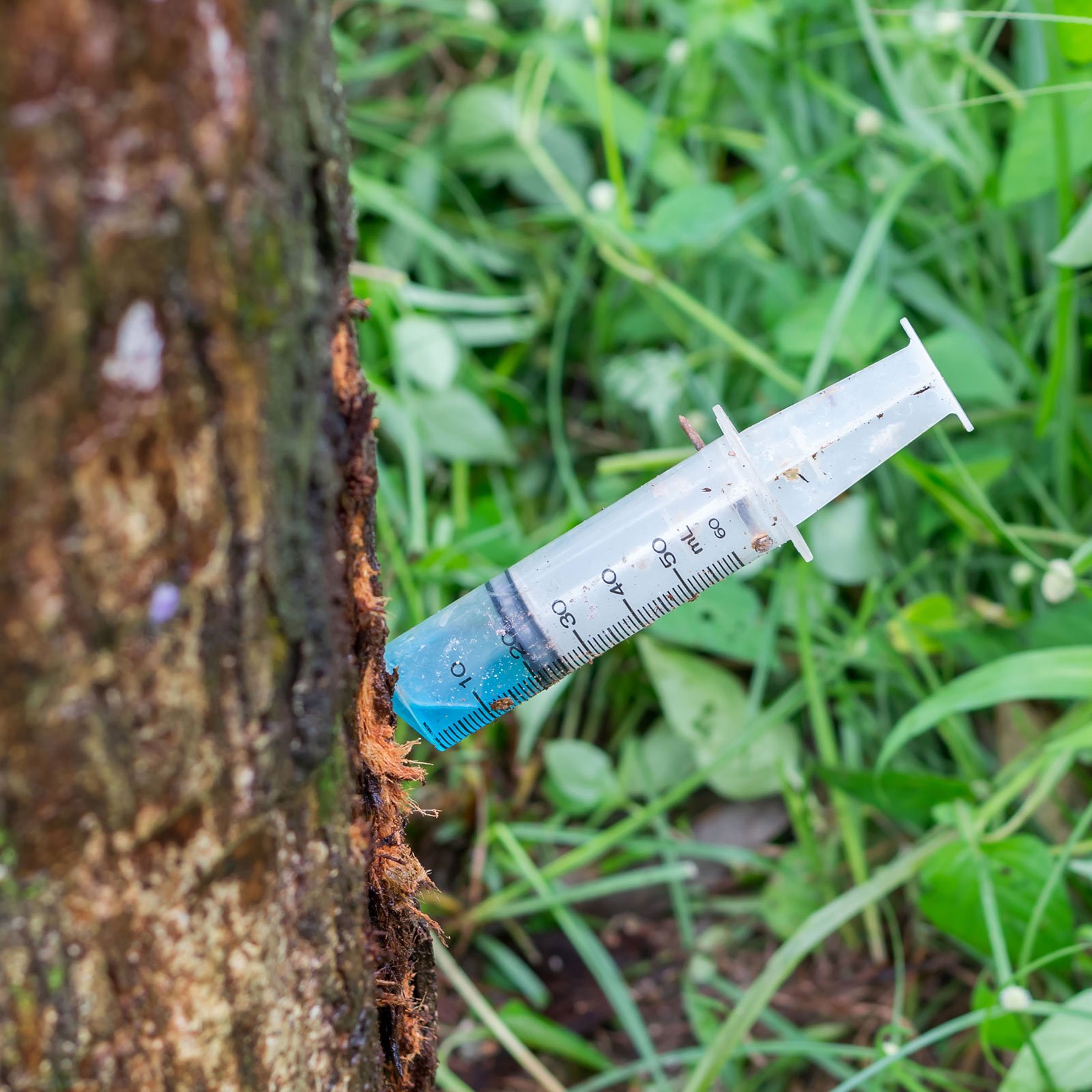 Landscaping | Mullen Lawn Service | Kearney, NE