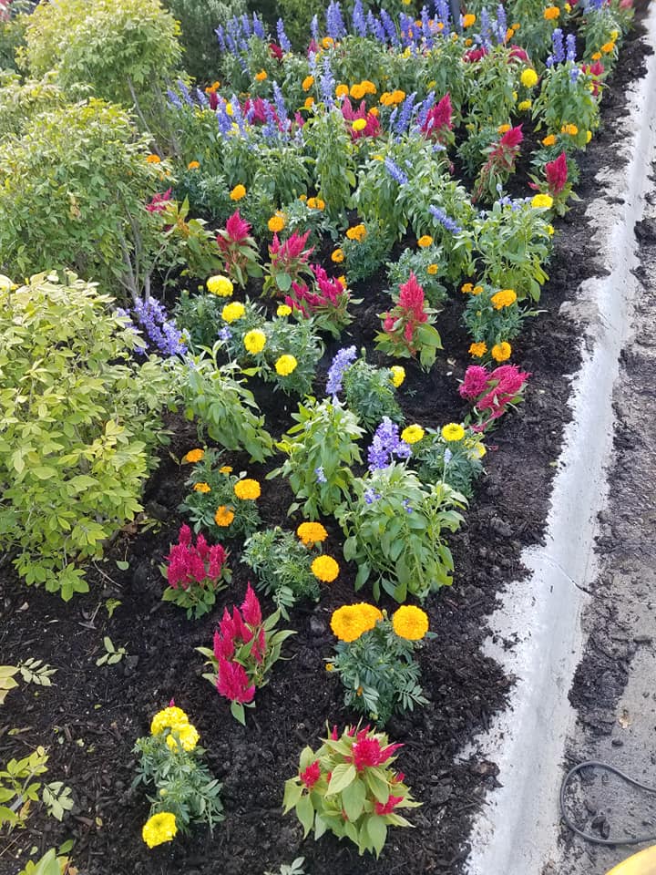 Landscaping | Mullen Lawn Service | Kearney, NE