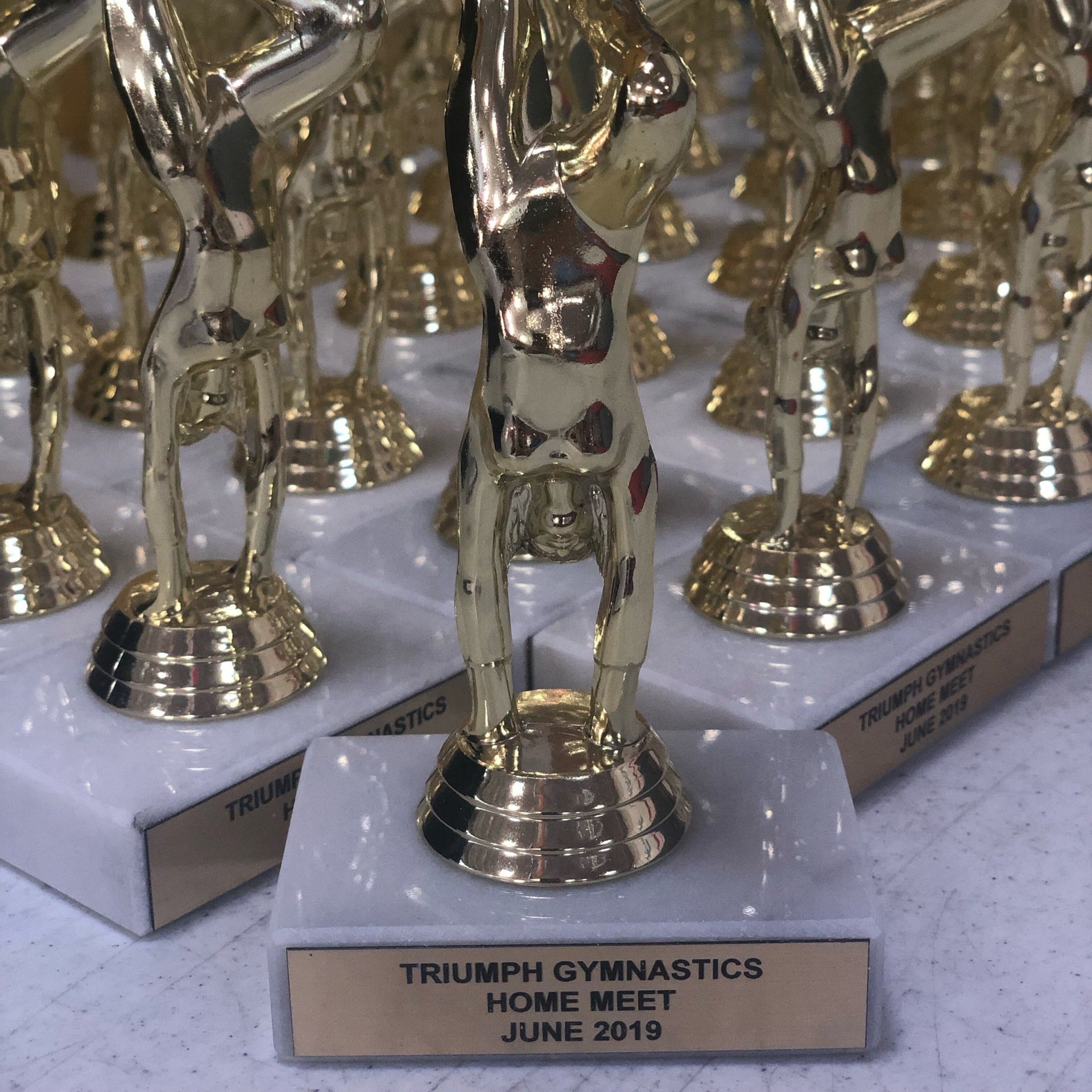 About | Triumph Gymnastics
