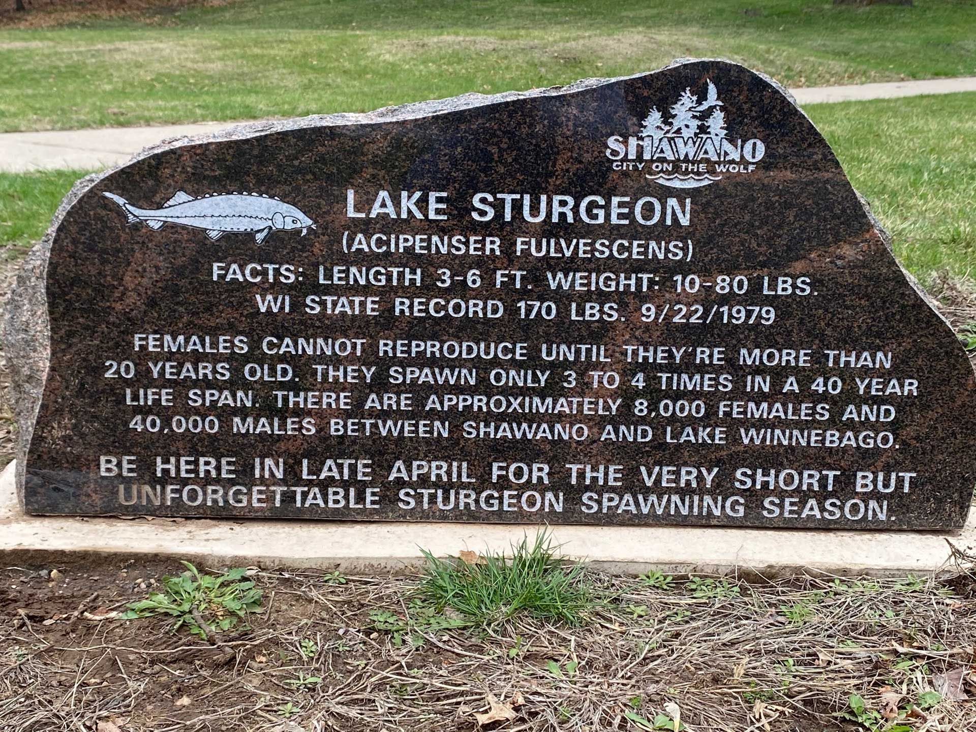 Specialty Monuments | Northeastern WI
