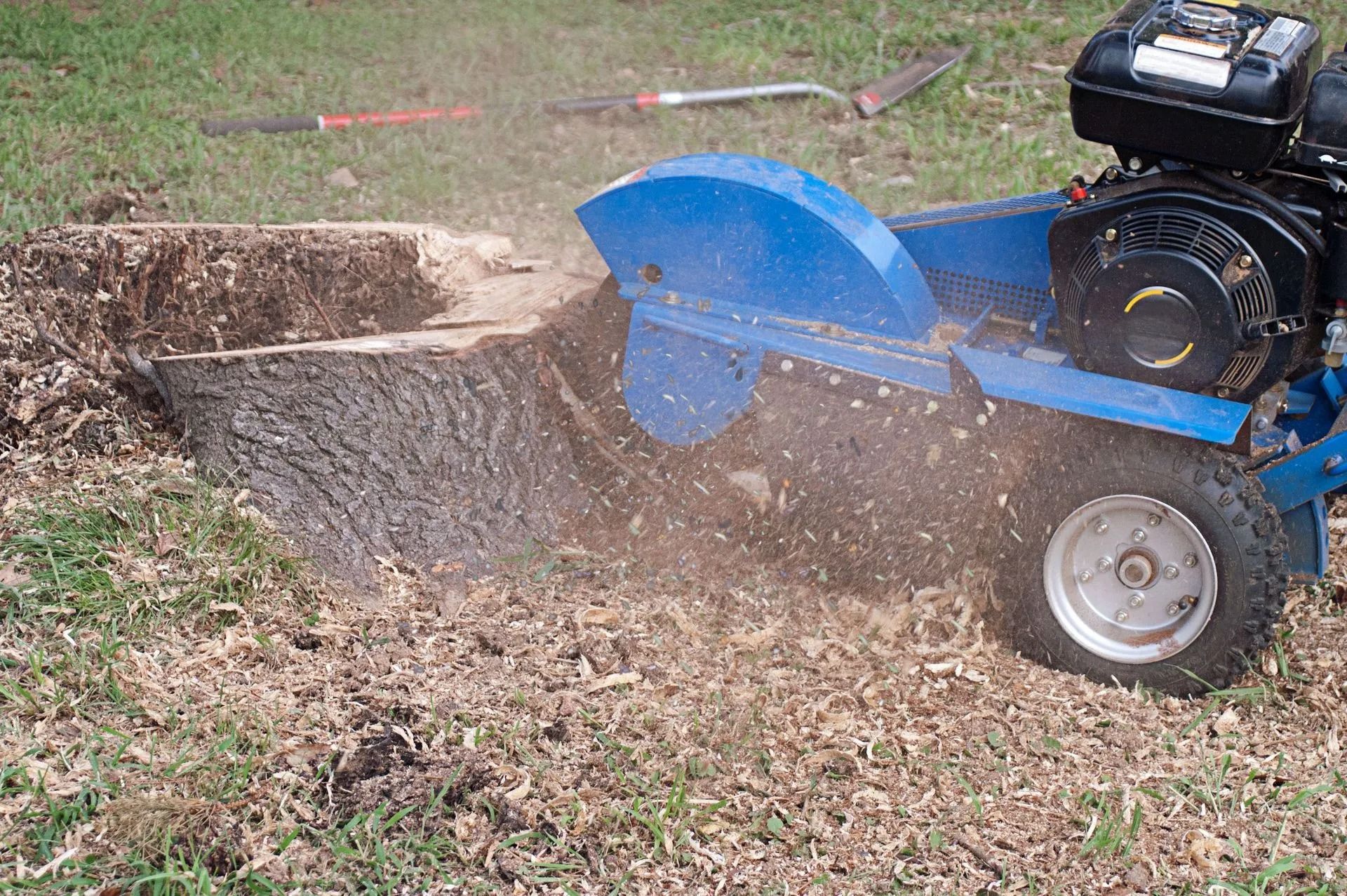 Tree Service Medford, OR | VH Contracting LLC