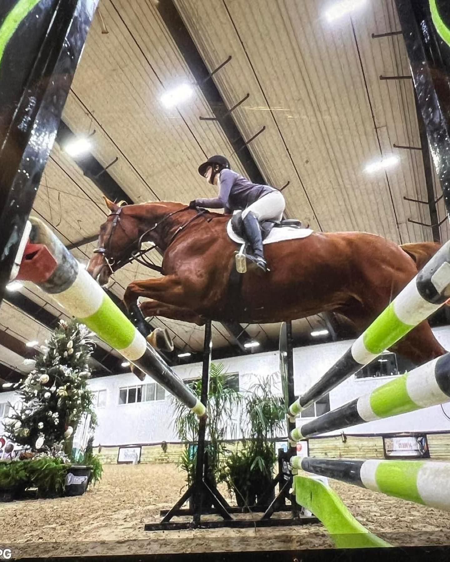 Gallery | Windridge Farm | Loxahatchee Groves, FL