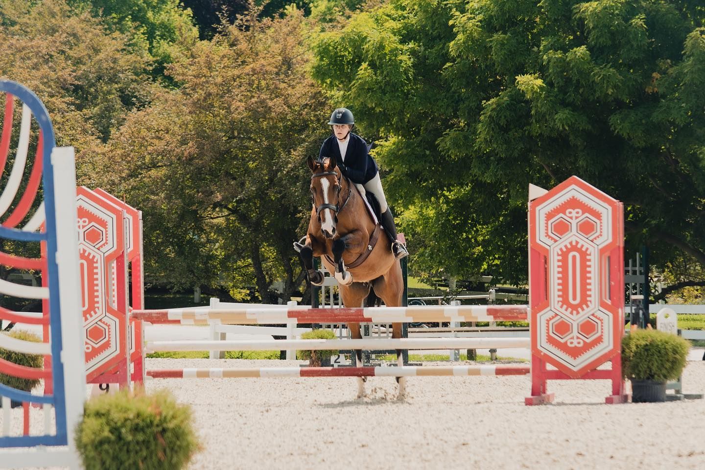 Gallery | Windridge Farm | Loxahatchee Groves, FL