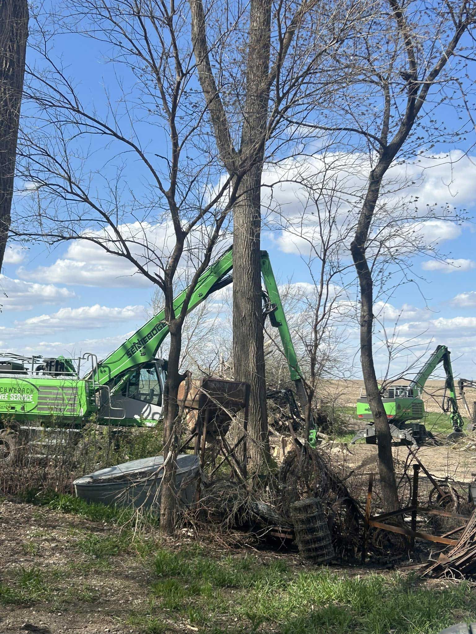Tree Services Sioux Center, IA | Schwebach Tree Service