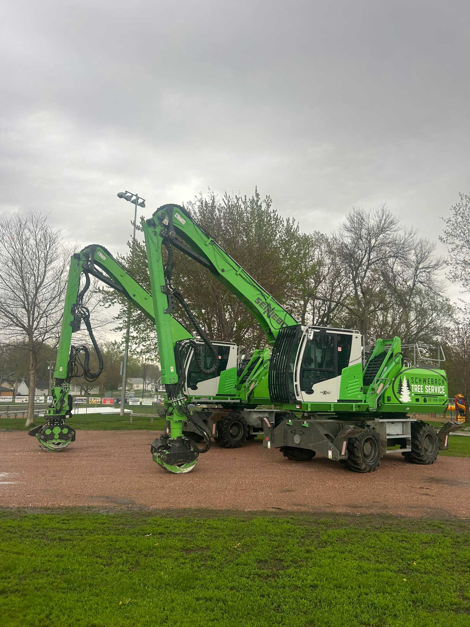 Tree Services Sioux Center, IA | Schwebach Tree Service