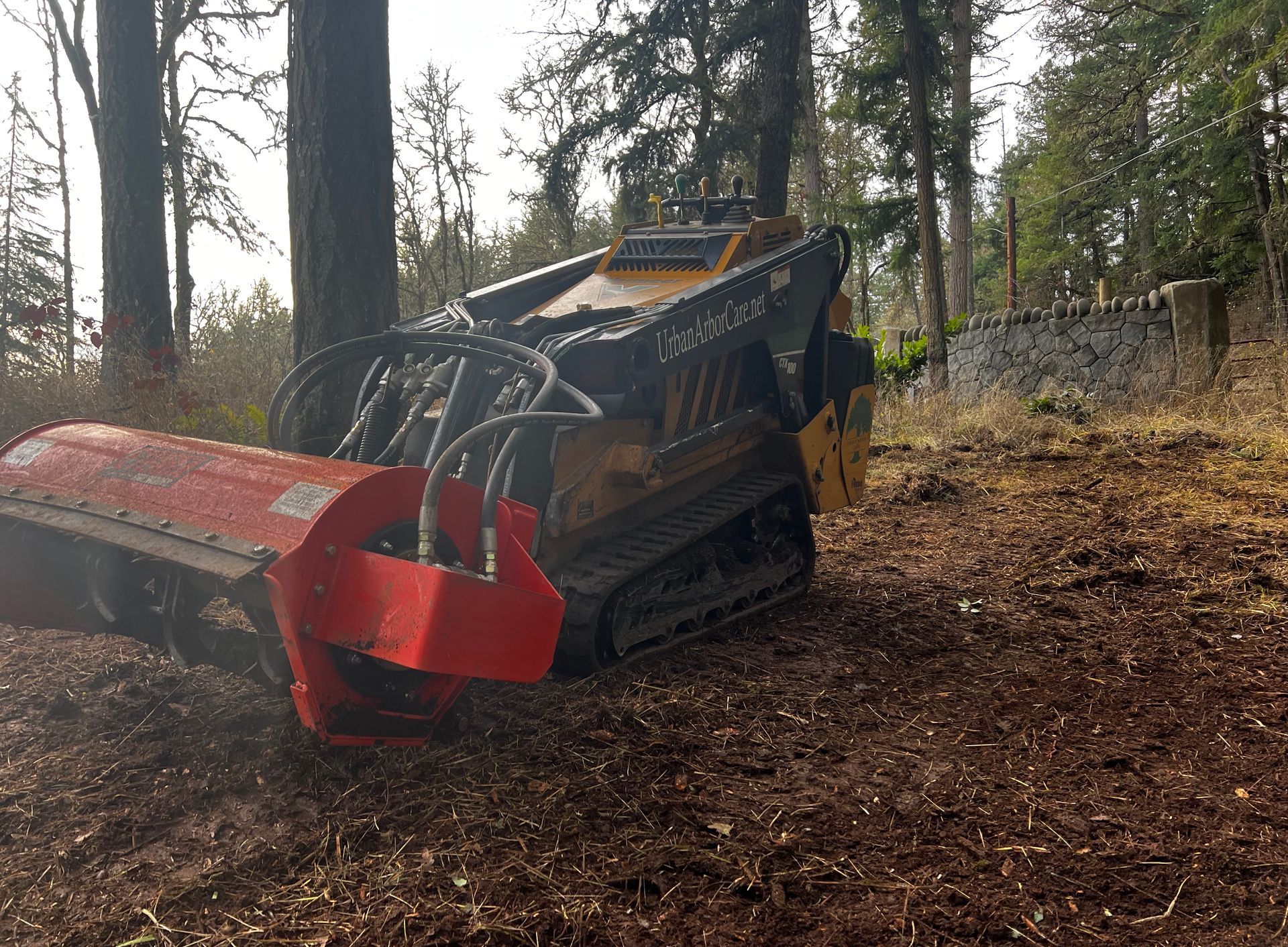 Tree Services | Urban Arbor Care LLC | Eugene, OR