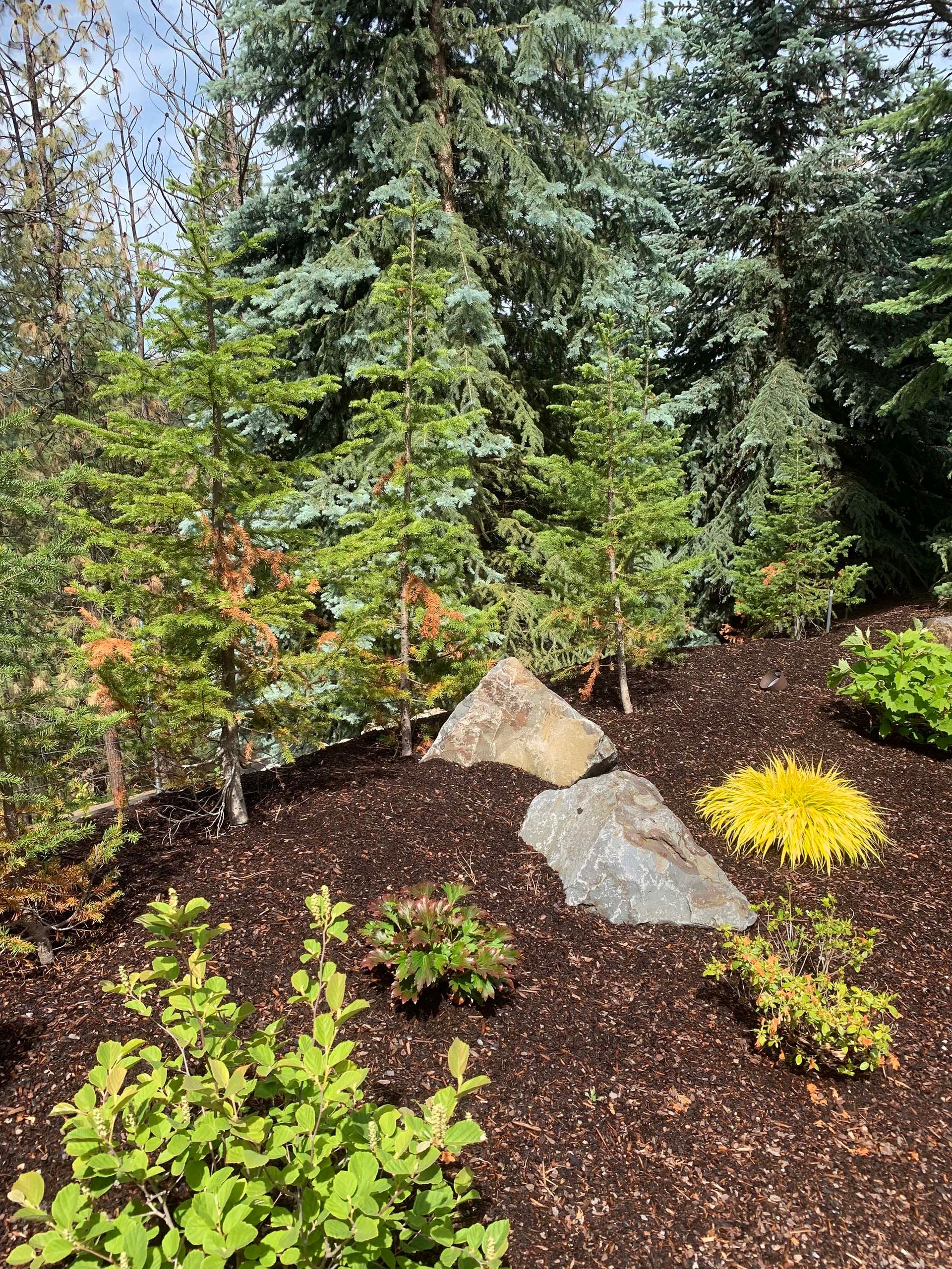 Landscaping Spokane Landscaping & Maintenance Spokane Valley