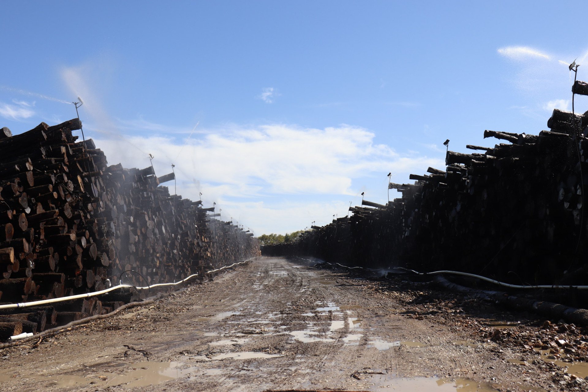 Raulston Land & Timber | Timber Services | Clarksville, TX