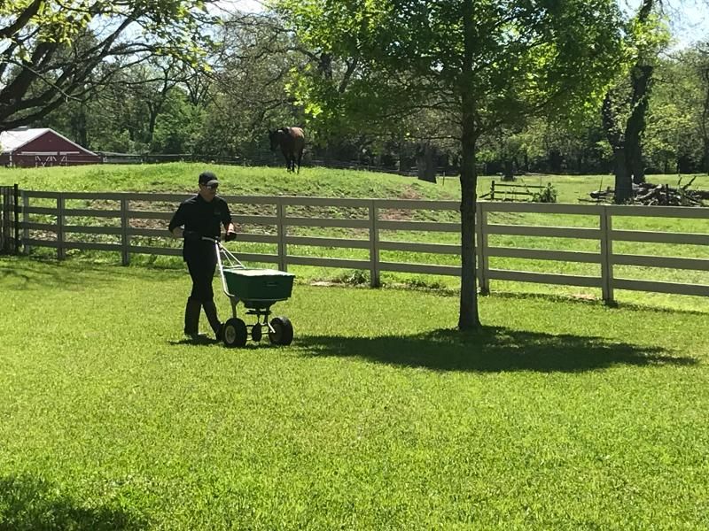 Landscaping | NatureCare Lawn Services | Arlington, TX