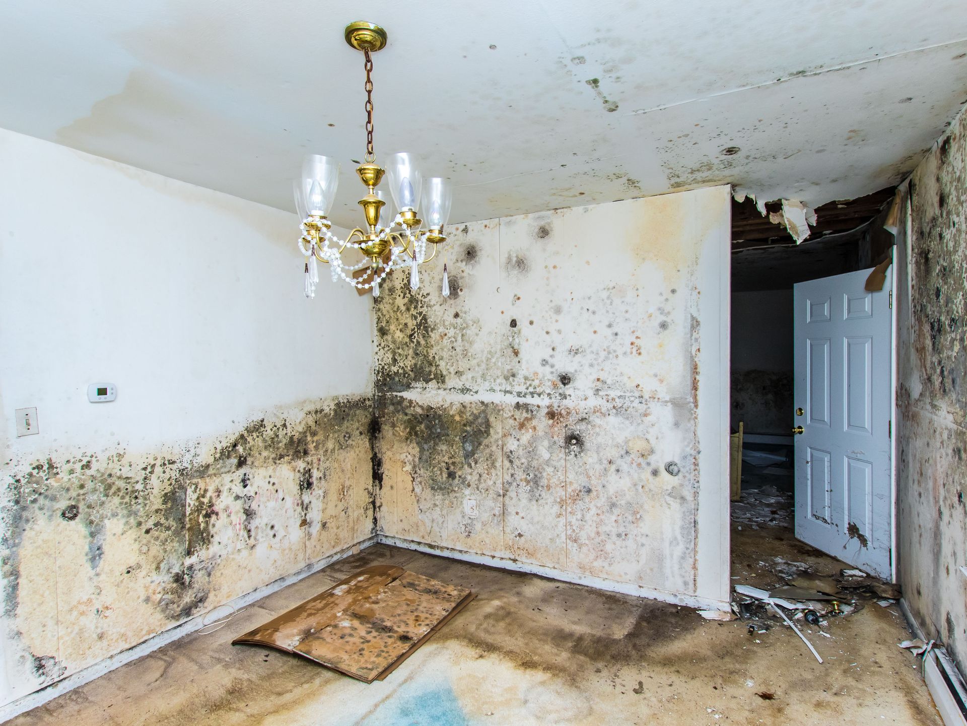 Water Damage Restoration Green Bay, WI | Appleton, WI