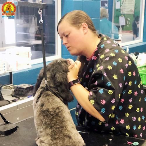 Gallery | Grooming School Of Indiana