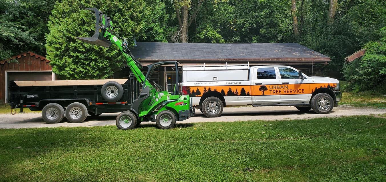 Tree Service Gallery | Urban Tree Service