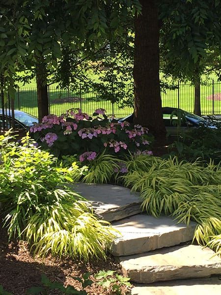 Our Work | Mead Tree & Turf Care Inc