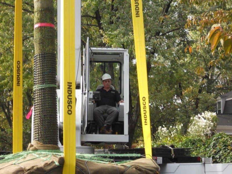 Our Work | Mead Tree & Turf Care Inc