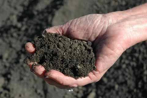 Speckled Granite | Red Cedar Mulch | Des Moines, IA