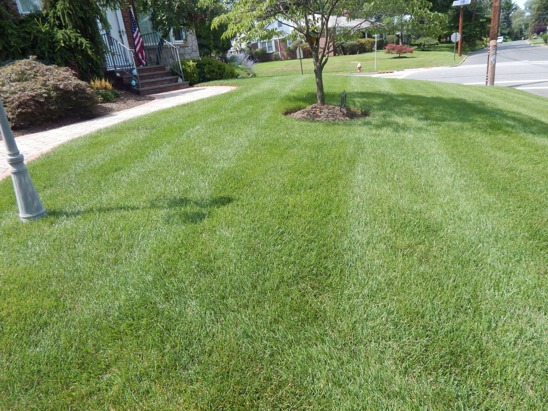 Landscape Contractors Paramus, NJ