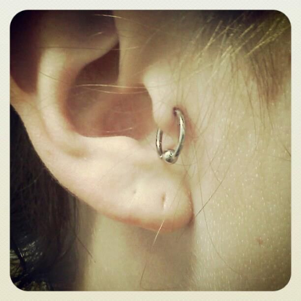 Piercings Gallery | Ink Wizard Tattoo & Body Piercing