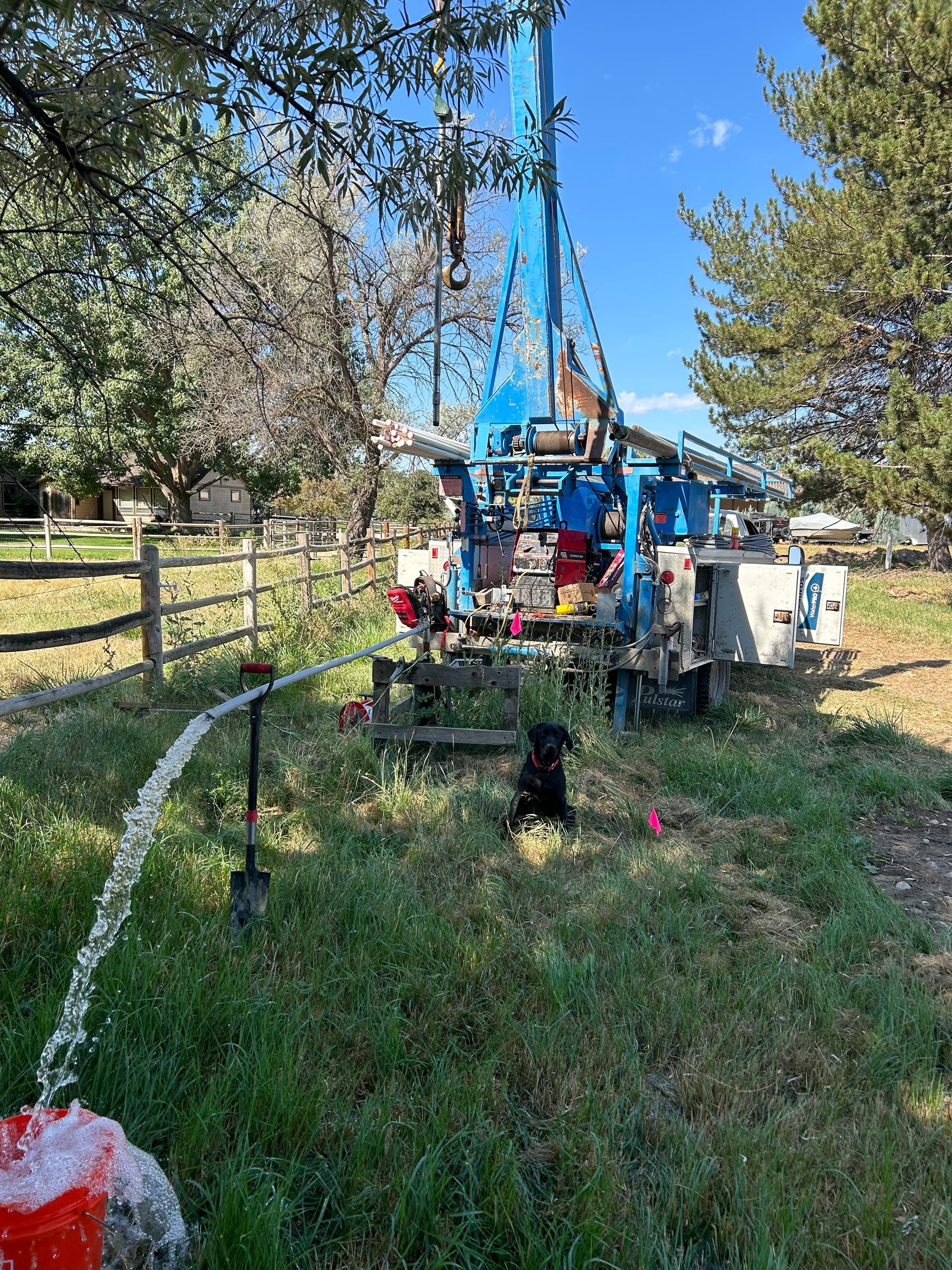 Home [www.elitepumpsystems.com]