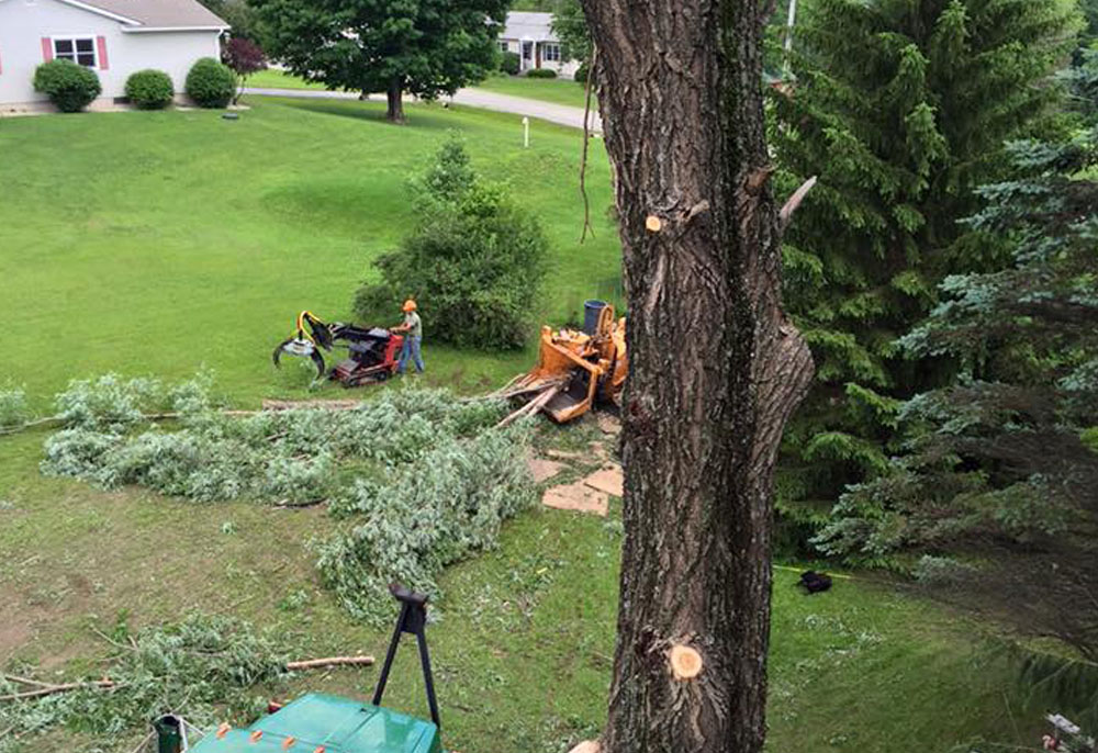 Gallery | Greater Heights Tree And Land Management Inc