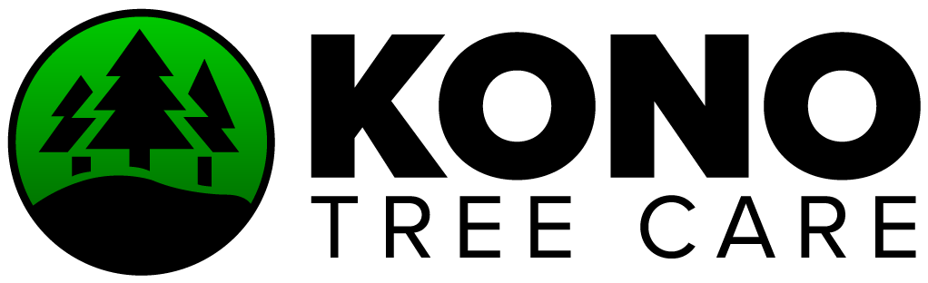 Tree Service Company Virginia Beach, VA | Kono Tree Care