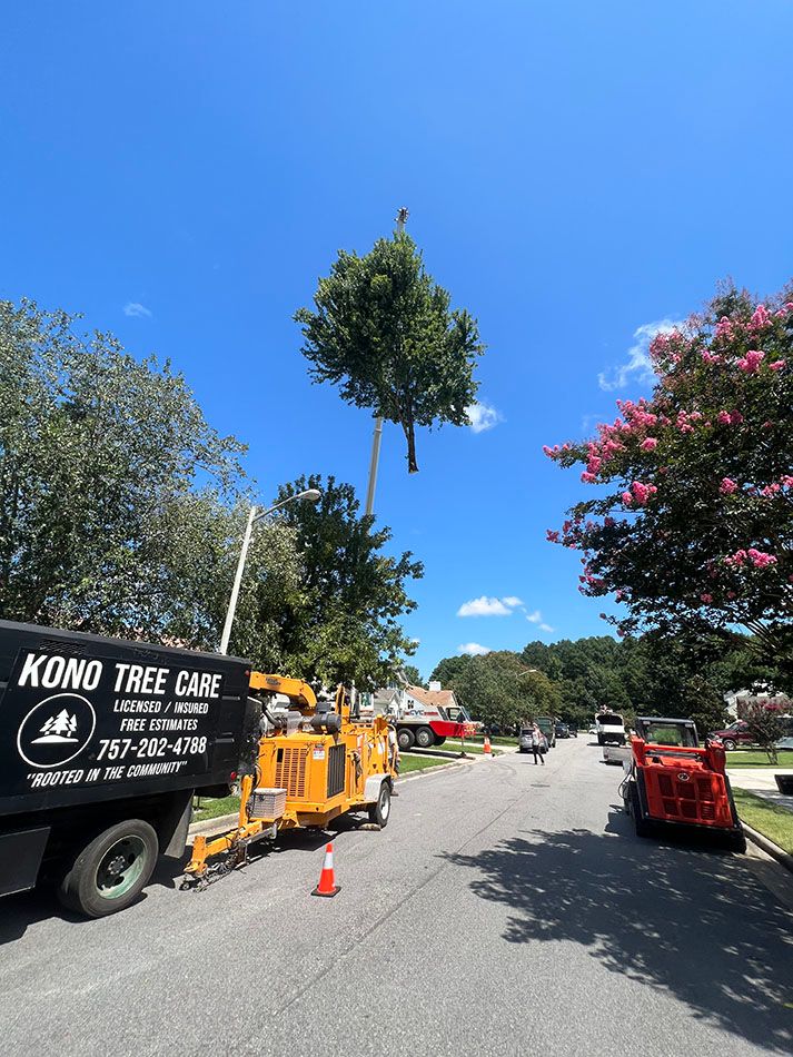 Tree Service Company Virginia Beach, VA | Kono Tree Care