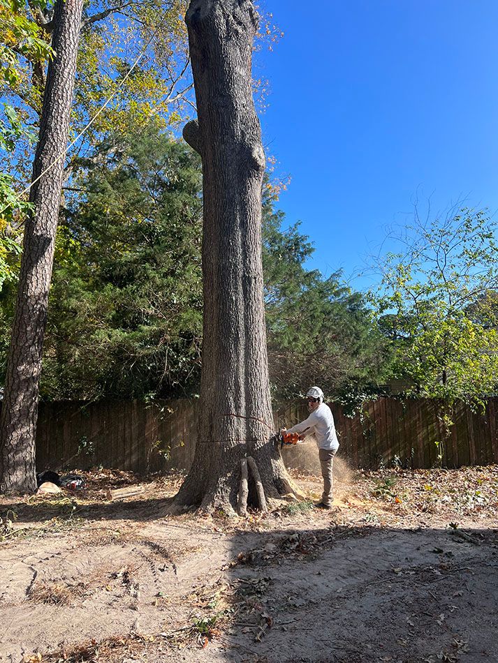 Tree Service Company Virginia Beach, VA | Kono Tree Care