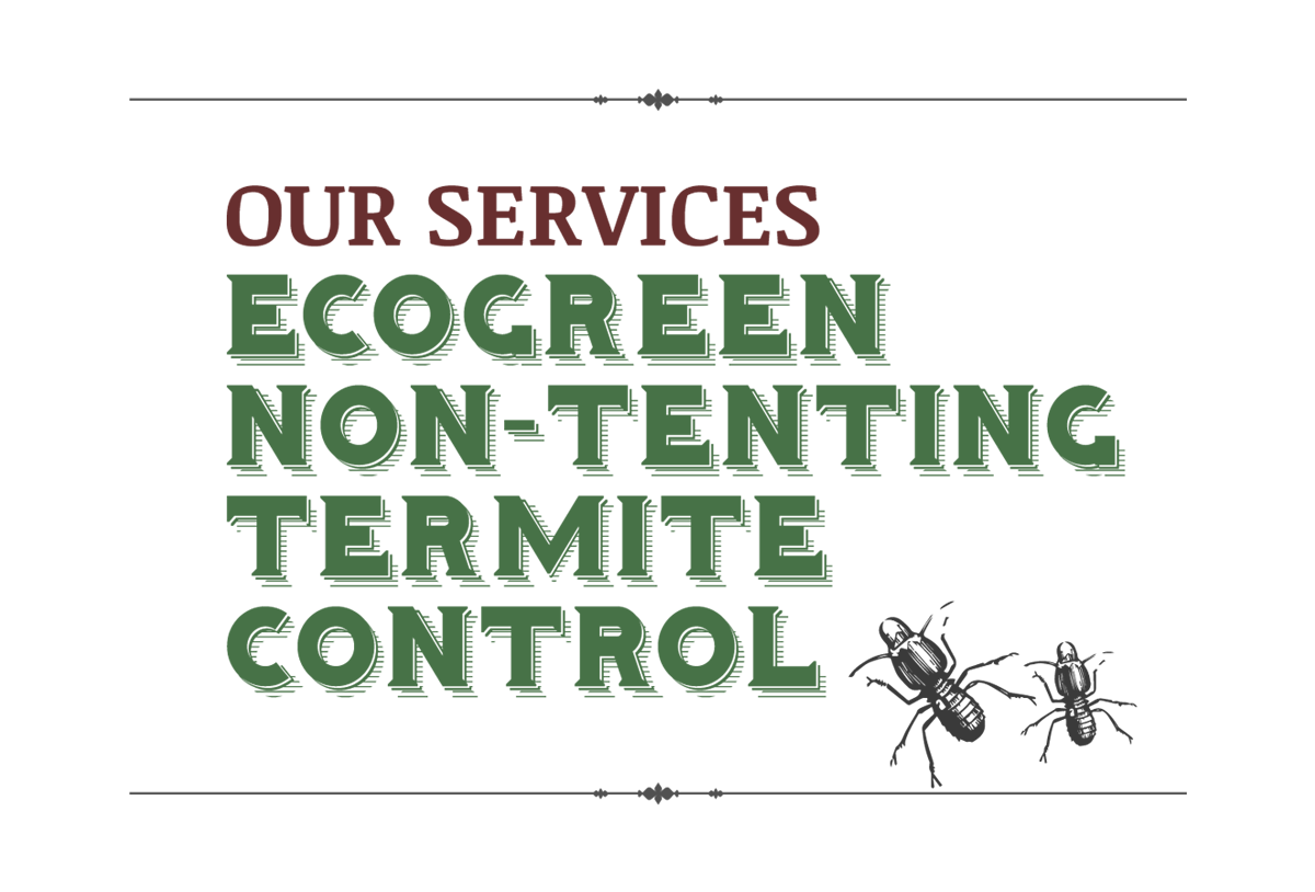 Pest Control Companies Parkland, FL | Orange Pest Control