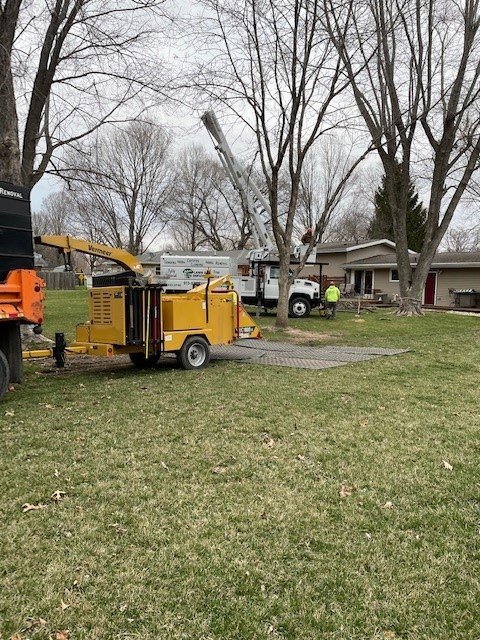 Photo Gallery | Jake's Lawn & Tree Service