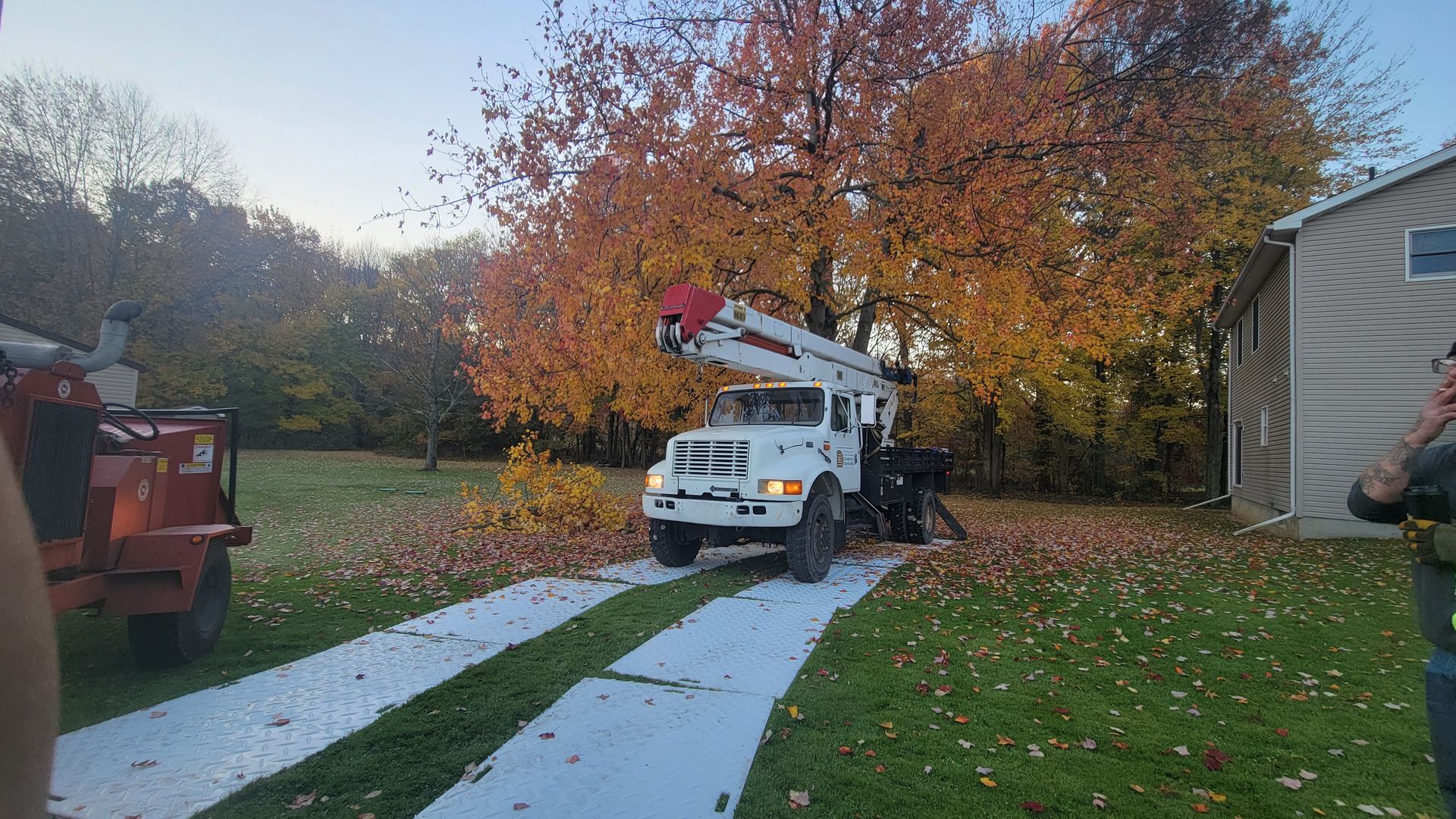 Gallery | Dave & Son Tree and Land Management, LLC