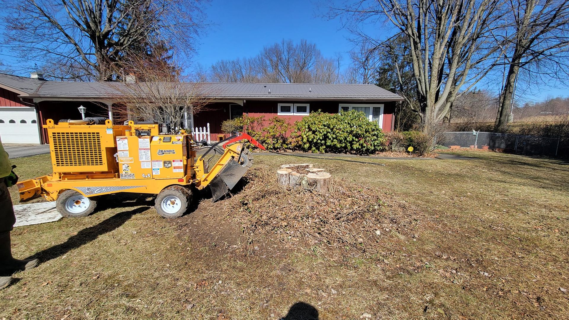 Tree Service | Dave & Son Tree and Land Management, LLC | Pulaski PA
