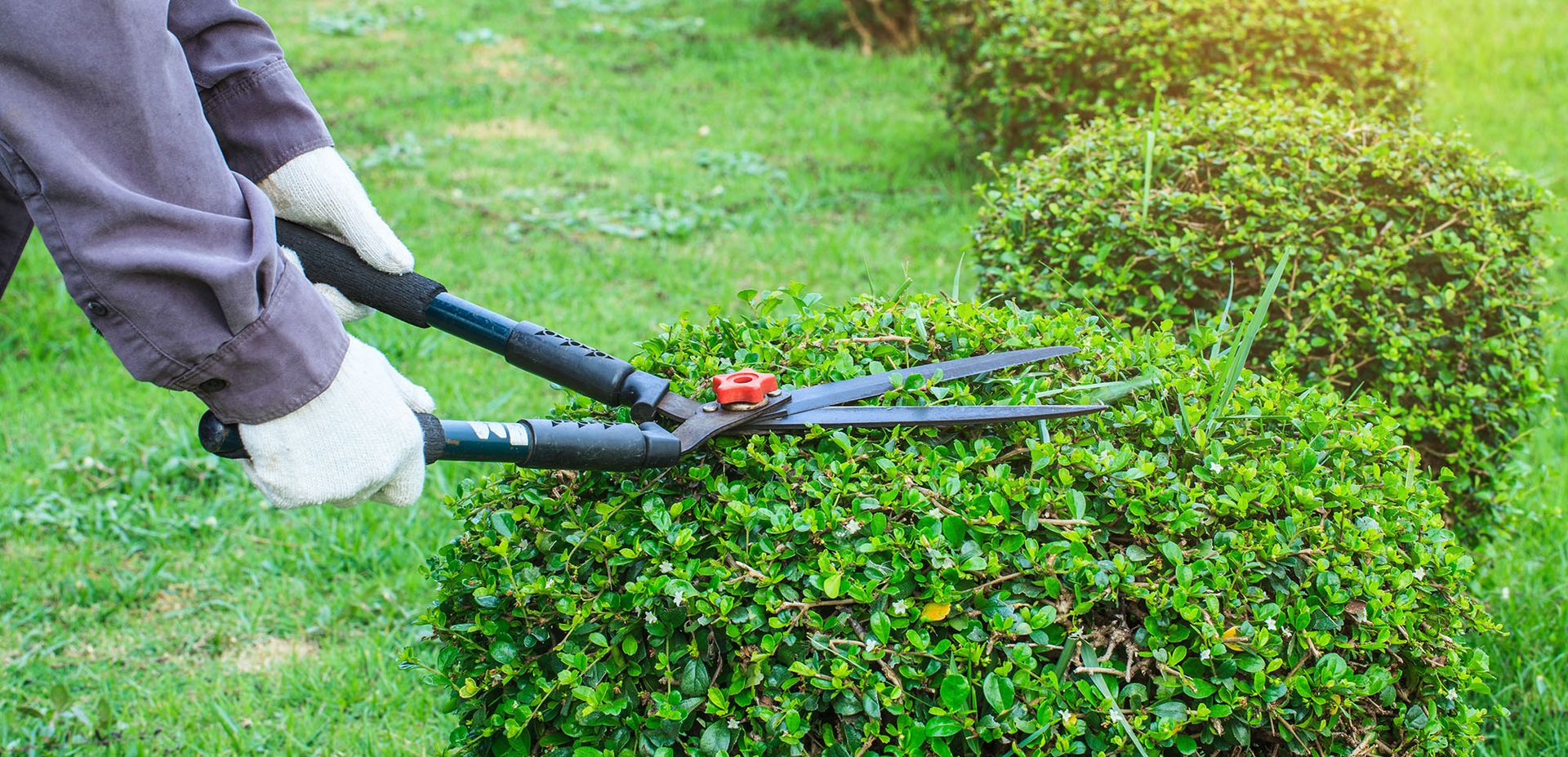 Tree Care | Lockhart Landscape & Tree Service Volant PA