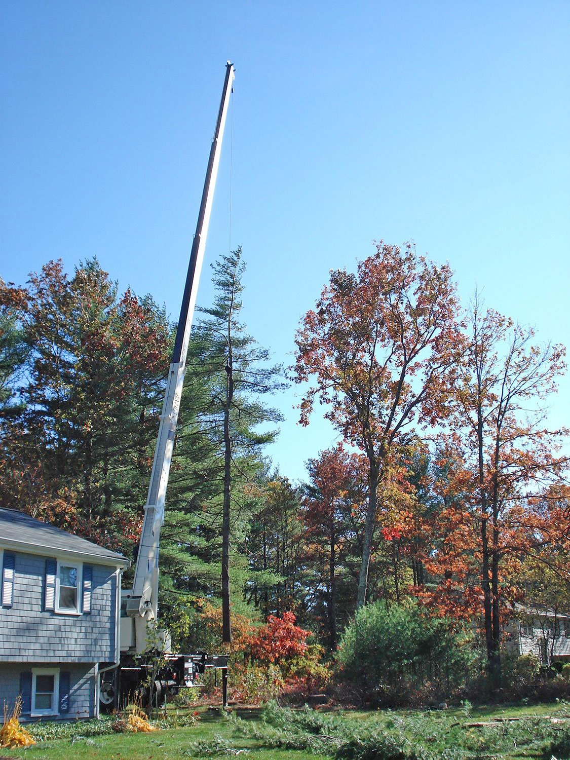 Tree Removal Services Marshfield, MA | Plymouth, MA