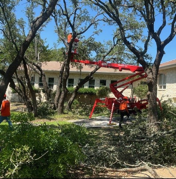 Tree Service Company Near Me | Texas Tree Service