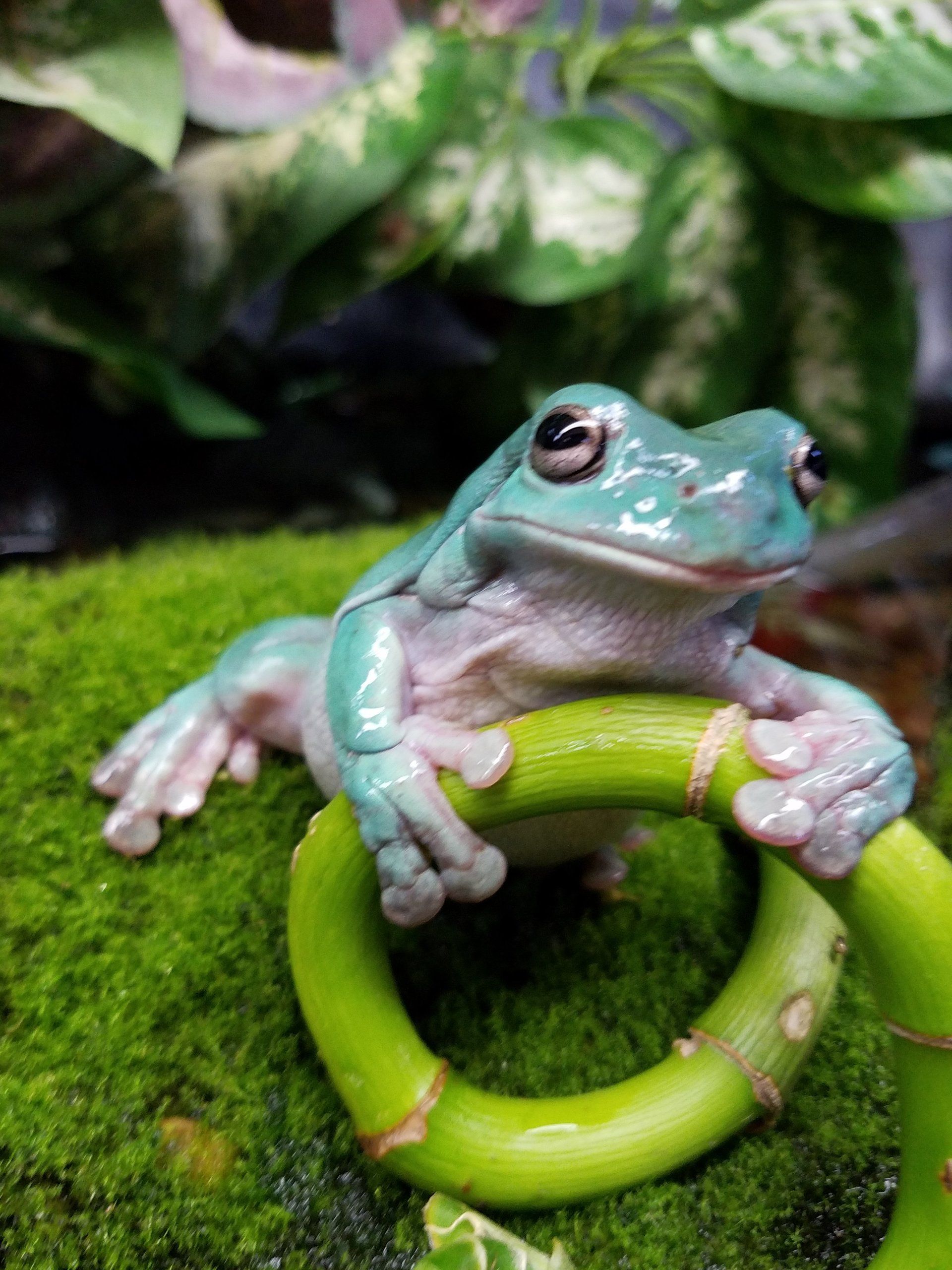 Pet Store | Jackson, MI | Pet Station Jackson