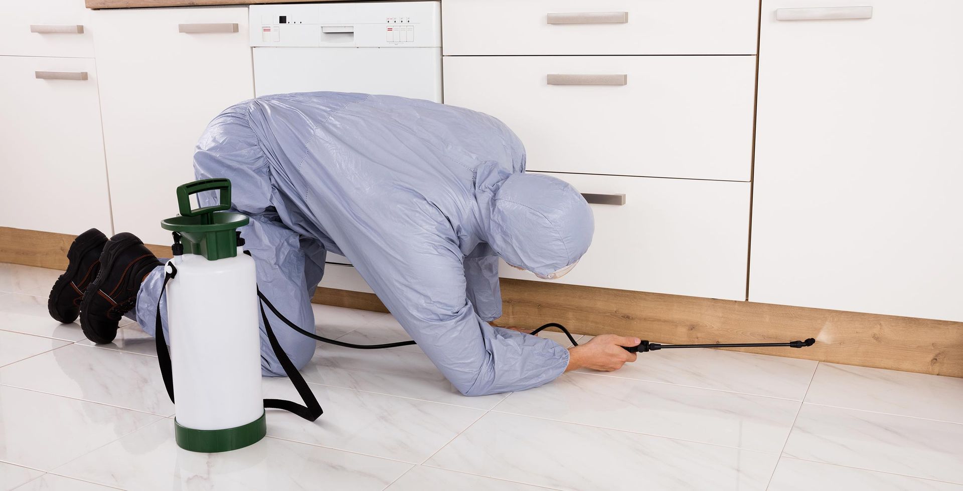 Exterminator | Paul's AAA Pest Control | Central Iowa