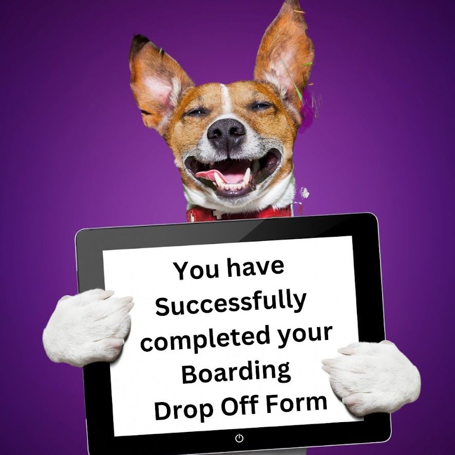 Overnight Boarding Form | Woof Dah!