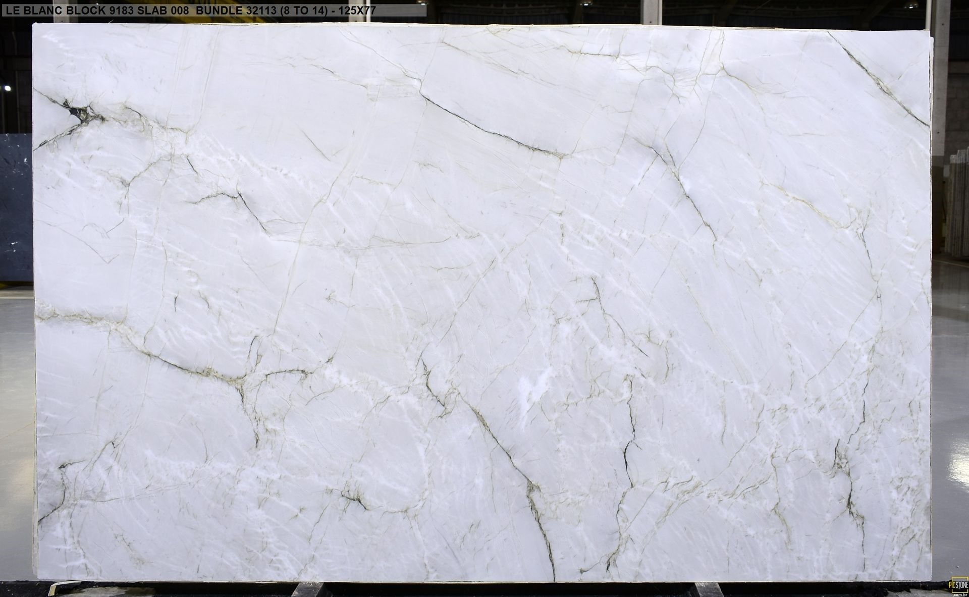 Granite and Quartzite Slabs West Palm Beach, FL | Azul Stone